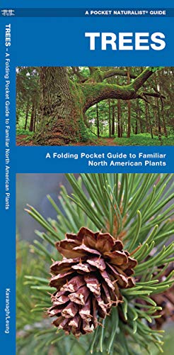 Trees: A Folding Pocket Guide to Familiar North American Plants (Wildlife and Nature Identification)
