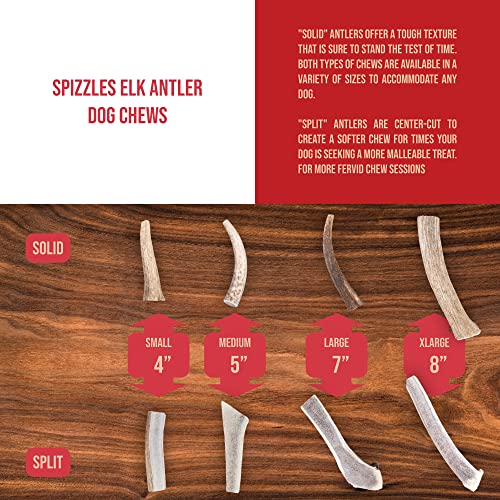 Spizzles Elk Antler Dog Chew Solid, Long Lasting Bone for Small Breed Aggressive Chewers, All Natural, No Odor, No Mess, No Preservatives, USA, 4 inch