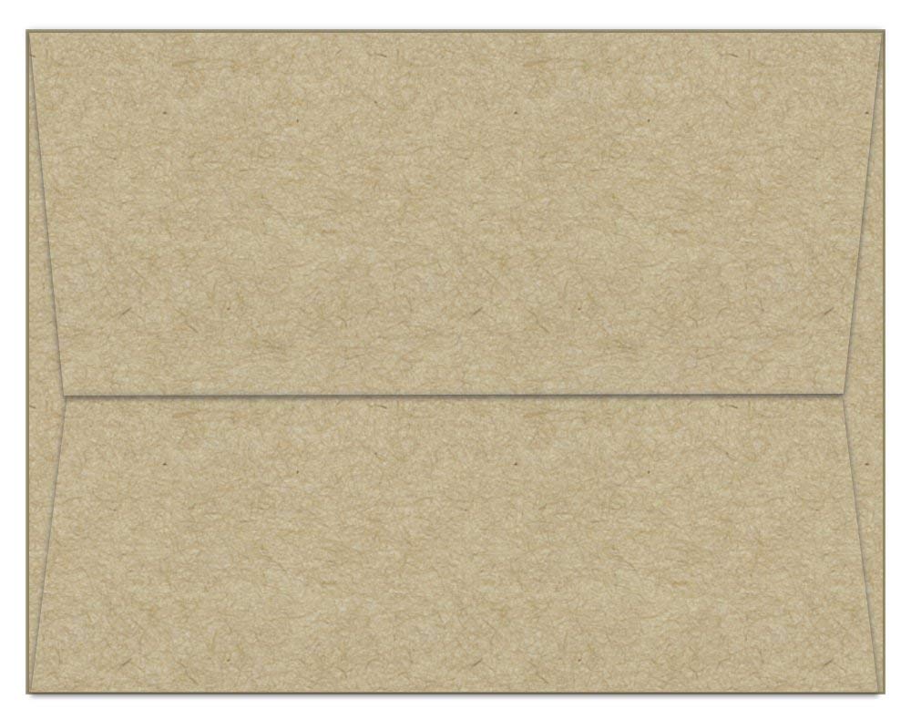 Note Card Cafe Thank You Cards with Kraft Envelopes | 24 Pack | Woodland Owl | Blank Inside, Glossy Finish | for Greeting Cards, Occasions, Birthdays, Gifts