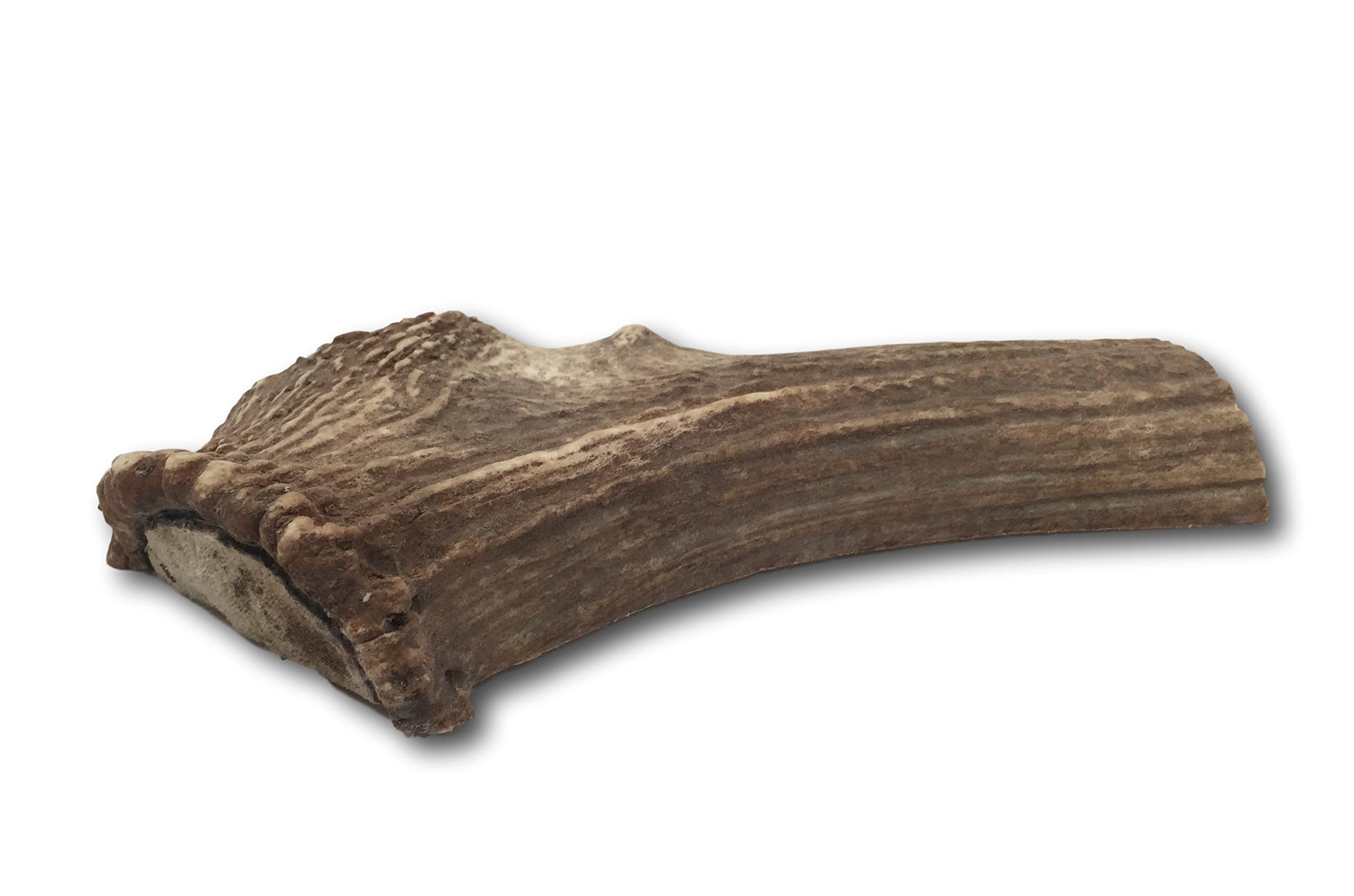 Top Dog Chews - Huge Split Elk Antler (Ideal for Dogs Over 40lbs) - (8-10 Inches) - All Natural and Long Lasting Dog Chew for Aggressive Chewers - 1 Count