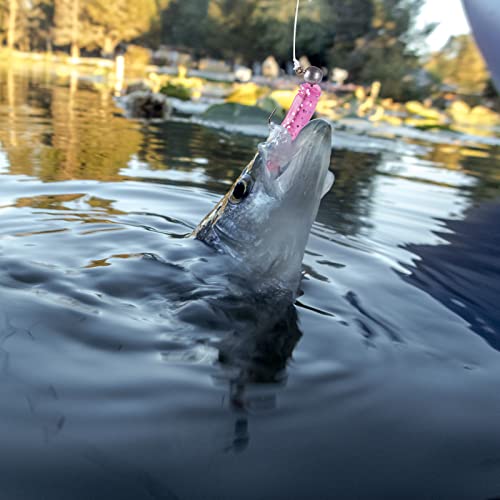 Goture 80PCS Crappies Lures Kit, 4 Types Crappie Lures Baits, Soft Plastic Fishing Lures for Crappie, Panfish, Bluegill, Trout