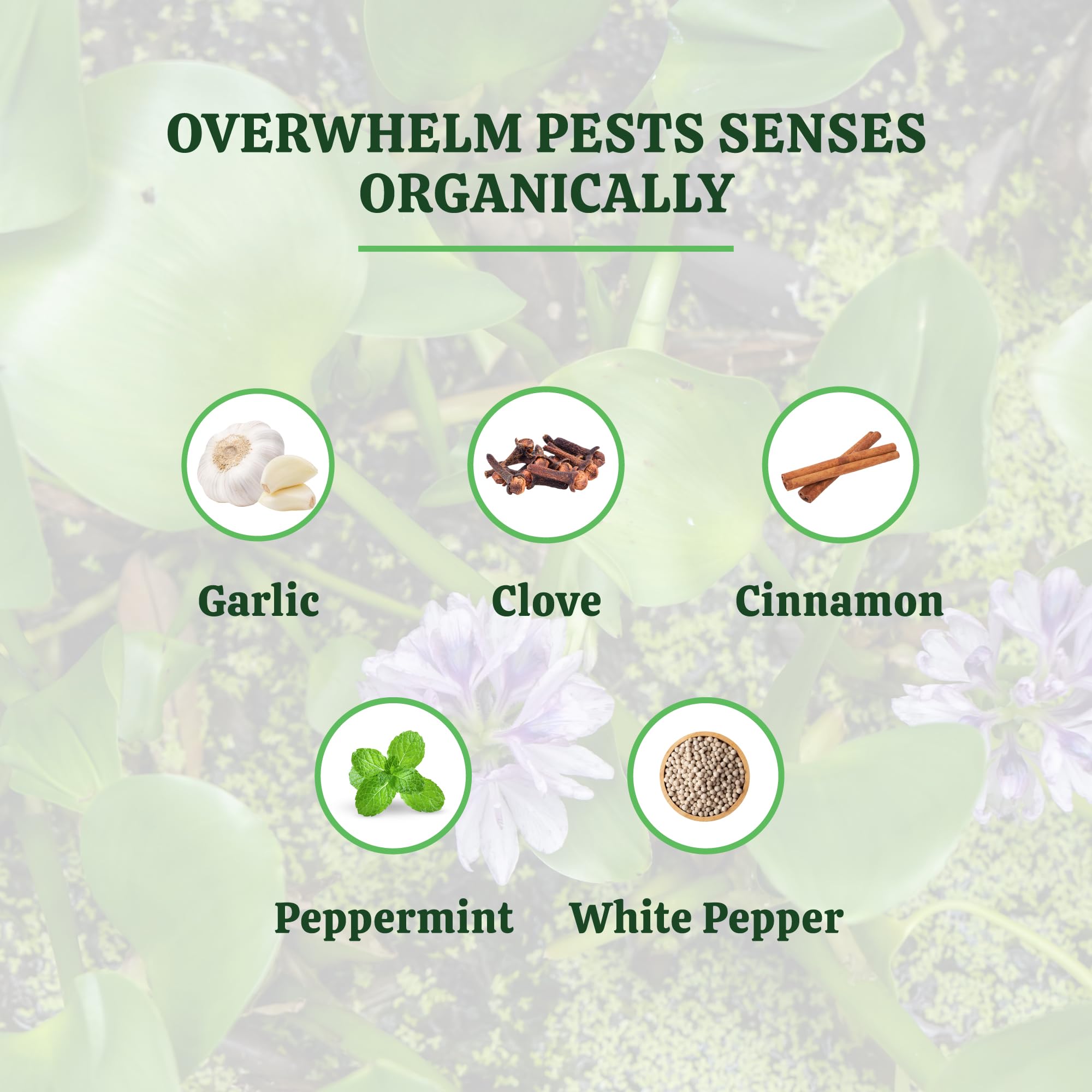 Pride Lands Defense - Organic Pest Control for Indoor & Outdoor Plants/Insect Repellent/Eliminate Mites, Gnats, Thrips, & Aphids/Safe for Pets & Children/Vegetable & Flowering Gardens, 5lb