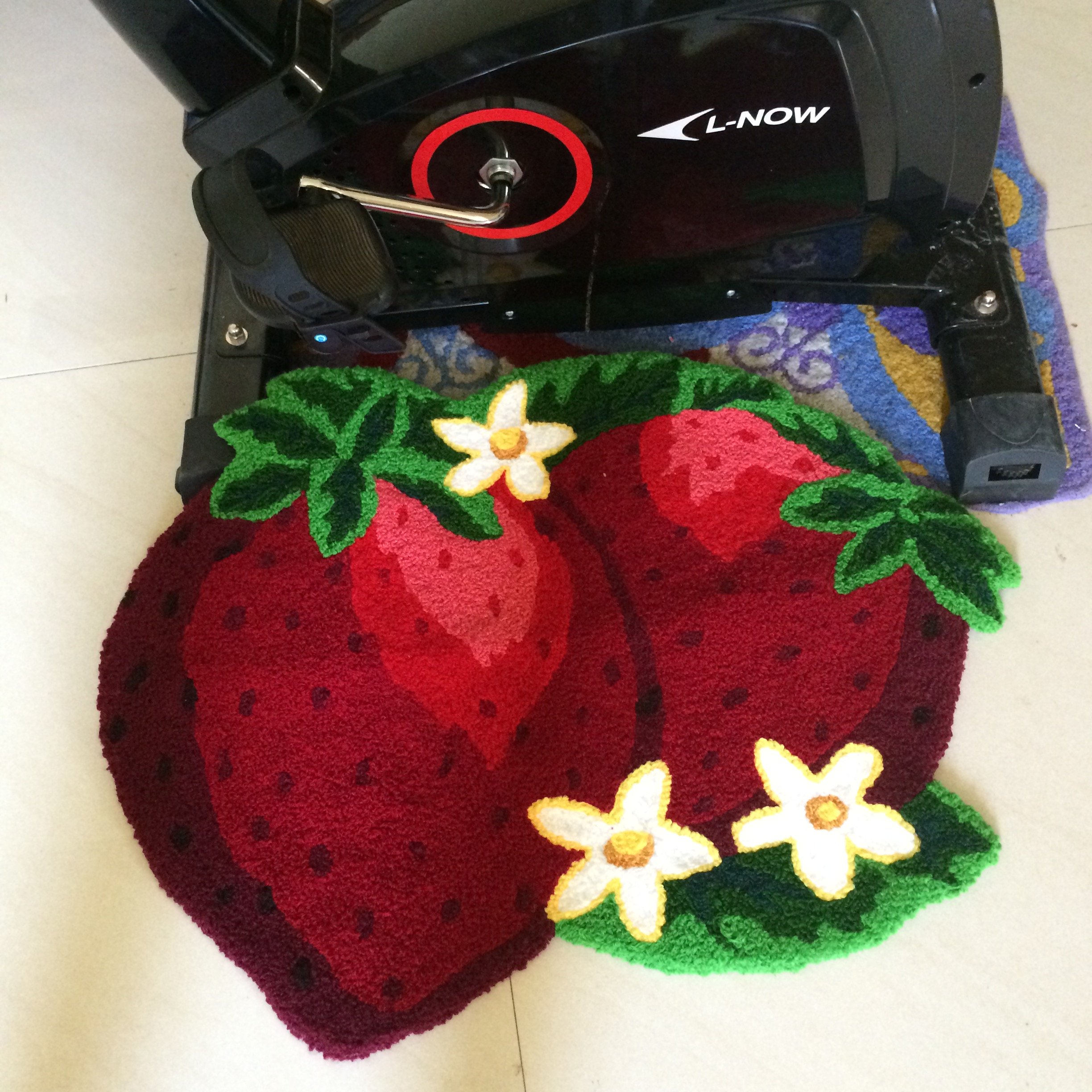 Newrara Strawberries Modern Shag Area Rugs Strawberries Mat Living Room Carpet Bedroom Rug for Children Play Solid Home Decorator Floor Rug and Carpets