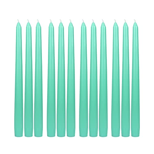 Zest Candle 12-Piece Taper Candles, 10-Inch, Aqua