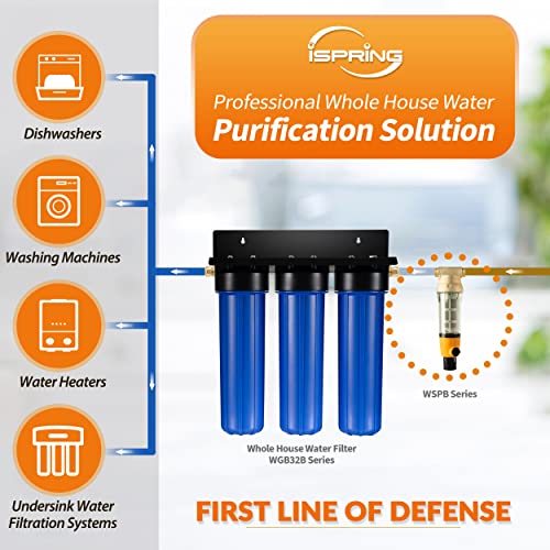 iSpring WSP100B Large Reusable Whole House Spin Down Sediment Water Filter with Built-in Housing Scraper and Brass Top Clear Housing, 100 Micron