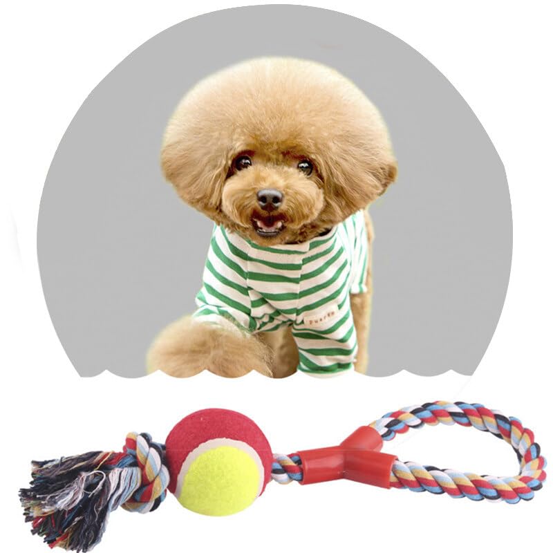 Kapmore Portable Puppy Chewing Ball - Funny Lightweight Dental Beneficial Dog Chew Toy for Interactive Training