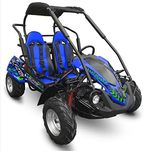 Trailmaster Blazer 200R Go Kart Youth Go Kart. Ages 10 and up, Mid Size Kids cart, Body Kit with Reverse. (Blue)