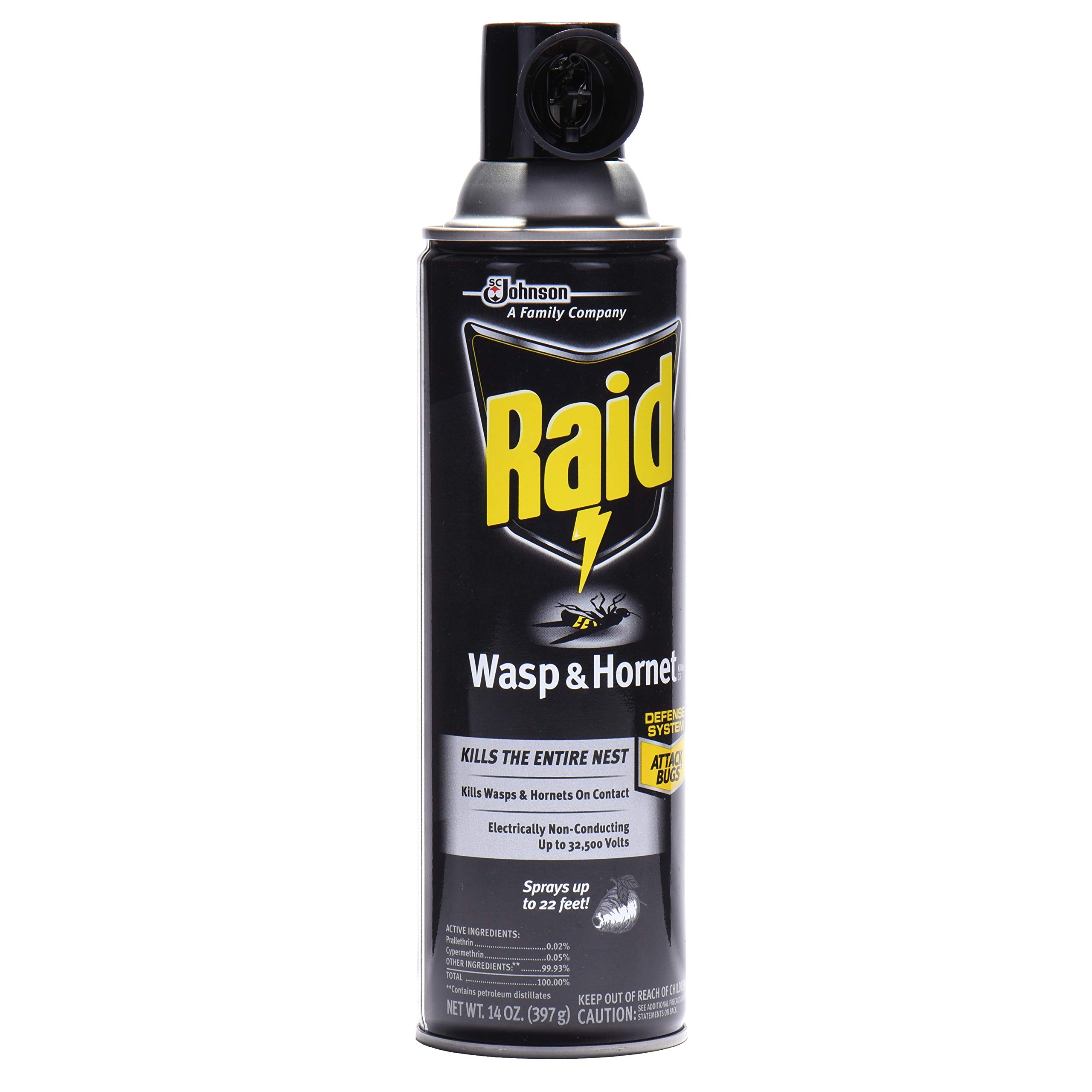 Raid Wasp Hornet Killer Spray (14 Ounce (Pack of 4))