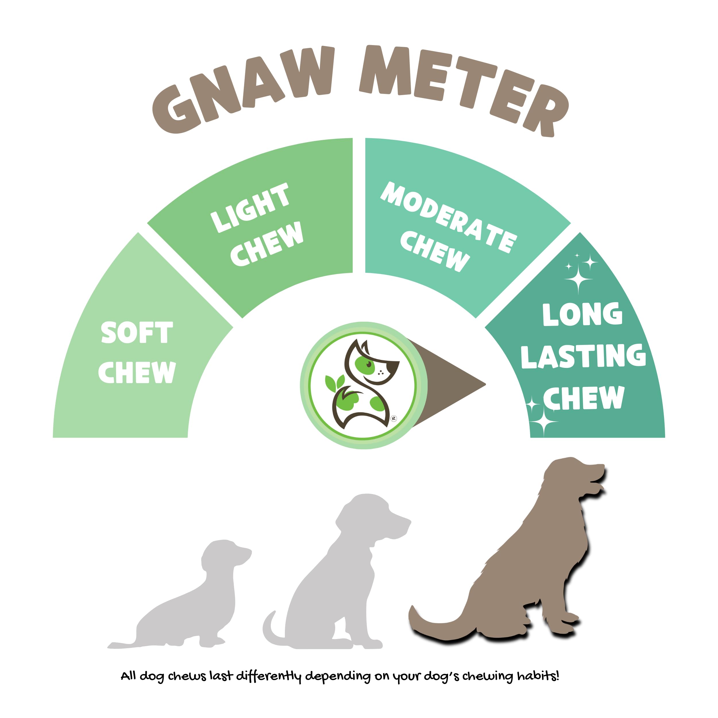 Nature Gnaws Braided Bully Sticks for Dogs 11-12" (10 Count) - Long Lasting for Aggressive Chewers and Large Dogs - Natural Beef Dog Chew Bones
