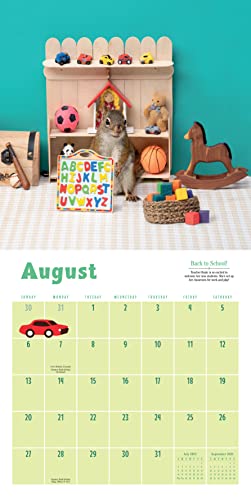 The Secret Life of Squirrels Wall Calendar 2023: Wild Squirrels Interacting with Handcrafted Domestic Scenes