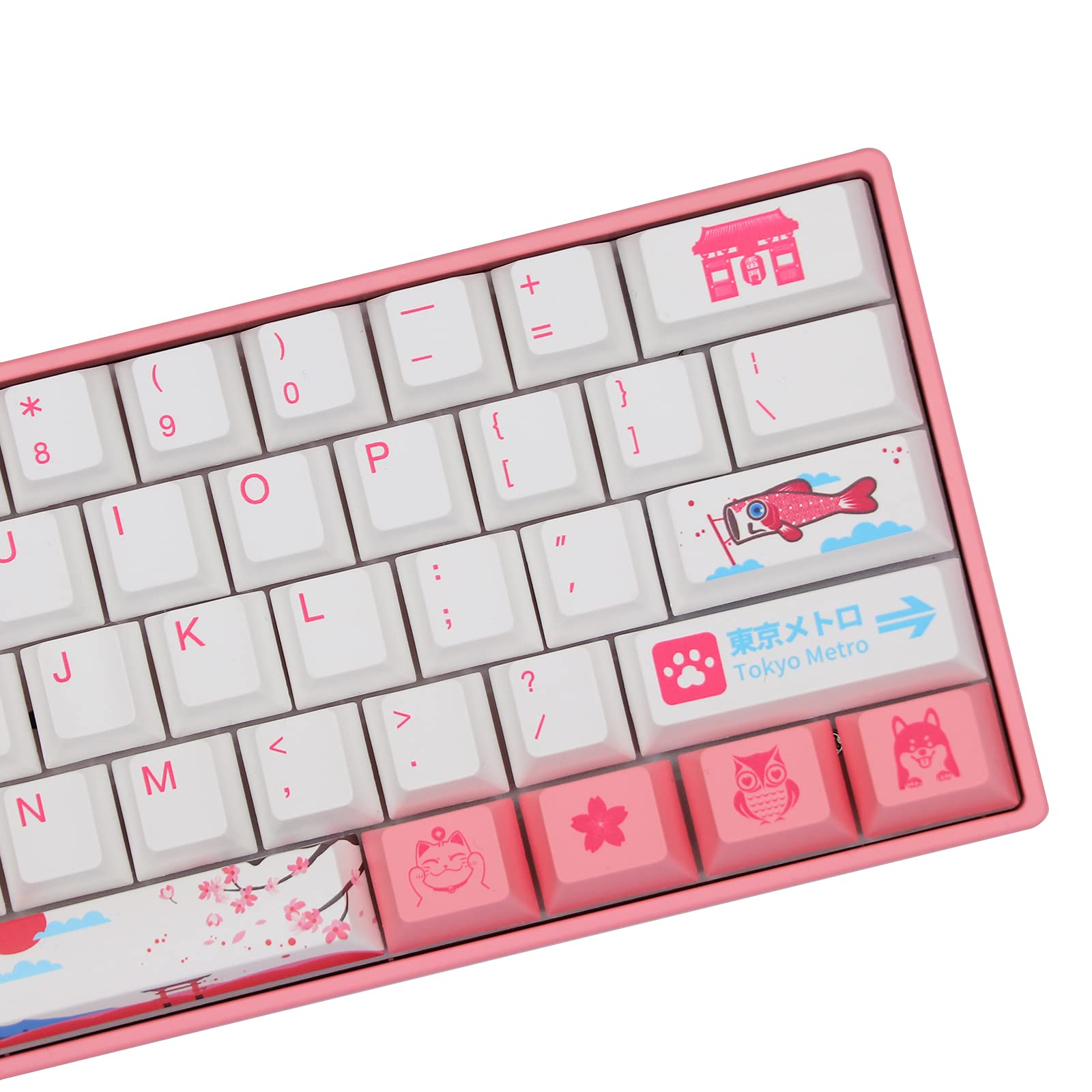 EPOMAKER AKKO 3061S World Tour R2 60% Wired Hotswap Mechanical Gaming Keyboard with RGB Backlight, Dye Sublimation PBT Keycaps, NKRO Programmable for Gamers/Mac/Win (Gateron Pink Switch, 61 Keys)