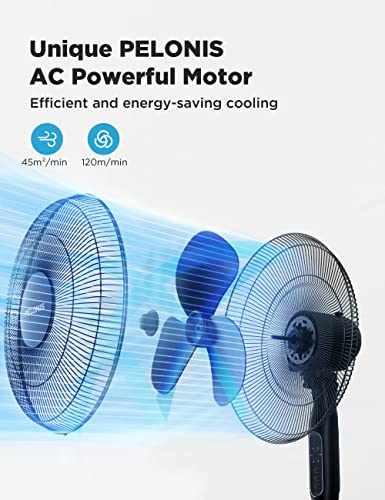 PELONIS 16'' Pedestal Remote Control, Oscillating Stand Up Fan 7-Hour Timer, 3-Speed and Adjustable Height, PFS40A4BBB, Supreme 16"-Black & 30 Inch Oscillating Tower Fan
