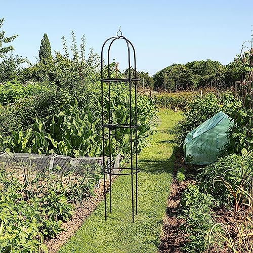 Metal Garden Obelisks Trellis for Climbing Plants Outdoor,1.85m Plastic-Coated Steel Frame Trellis Planter,for Rose Vine (Black)