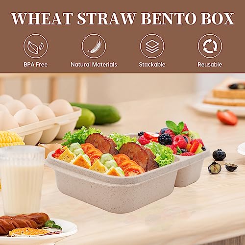 Luriseminger 4 Pack Bento Lunch Box,2 Compartment Snack Containers,Meal Prep Containers Kids/Toddle/Adults,Food Storage Containers for School, Work and Travel (2 Compartment-Multicolor)