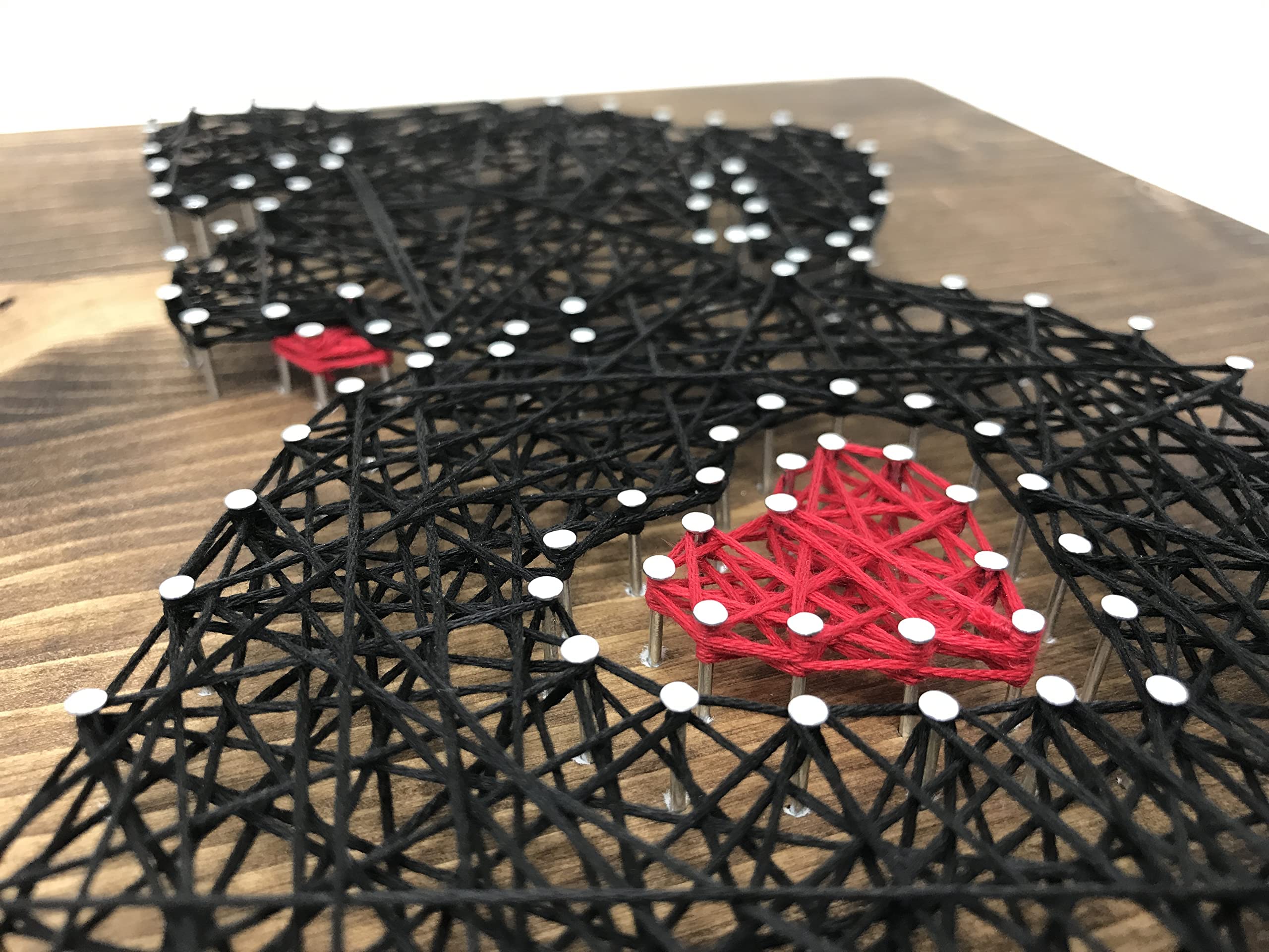 String of the Art (16" x 12" Puppy String Art Kit, American Made Crafting Supplies, Pine Wood, Embroidery Floss, Original Art, DIY Craft Kit for Adults, Beginner to Advanced Crafters