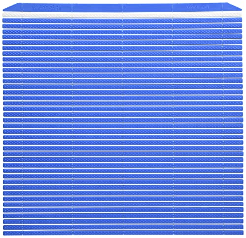 Hasegawa Plastic Sushi Rolling mat, Sushi Cooking mat, Blue Medium Size, 10" x 9.5"