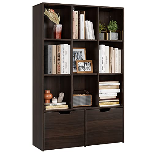 Senfot Bookcase 9 Cube, Modern Bookshelf Storage Cabinet with 2 Large Drawers, Free Standing Storage Organizer Book Shelves for Living Room, Office, Study, Brown