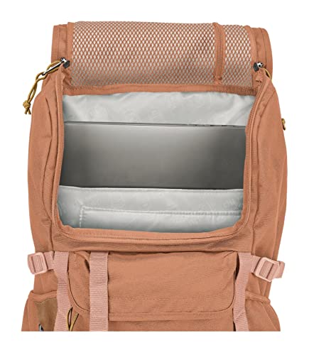 JanSport JS0A47J47G0 Hatchet Sego Canyon