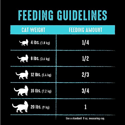 CRAVE Grain Free Adult High Protein Natural Dry Cat Food with Protein from Salmon & Ocean Fish 4 lb