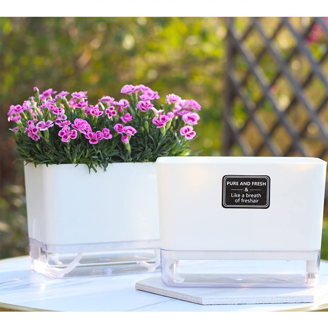 FAMZ Self Watering Planters 4 Pack,Plant Pots for Indoor,Automatic Moisturizing,Transparent Square Flower Pot for Indoor and Outdoor Plants,Succulents,Violets,Ivy