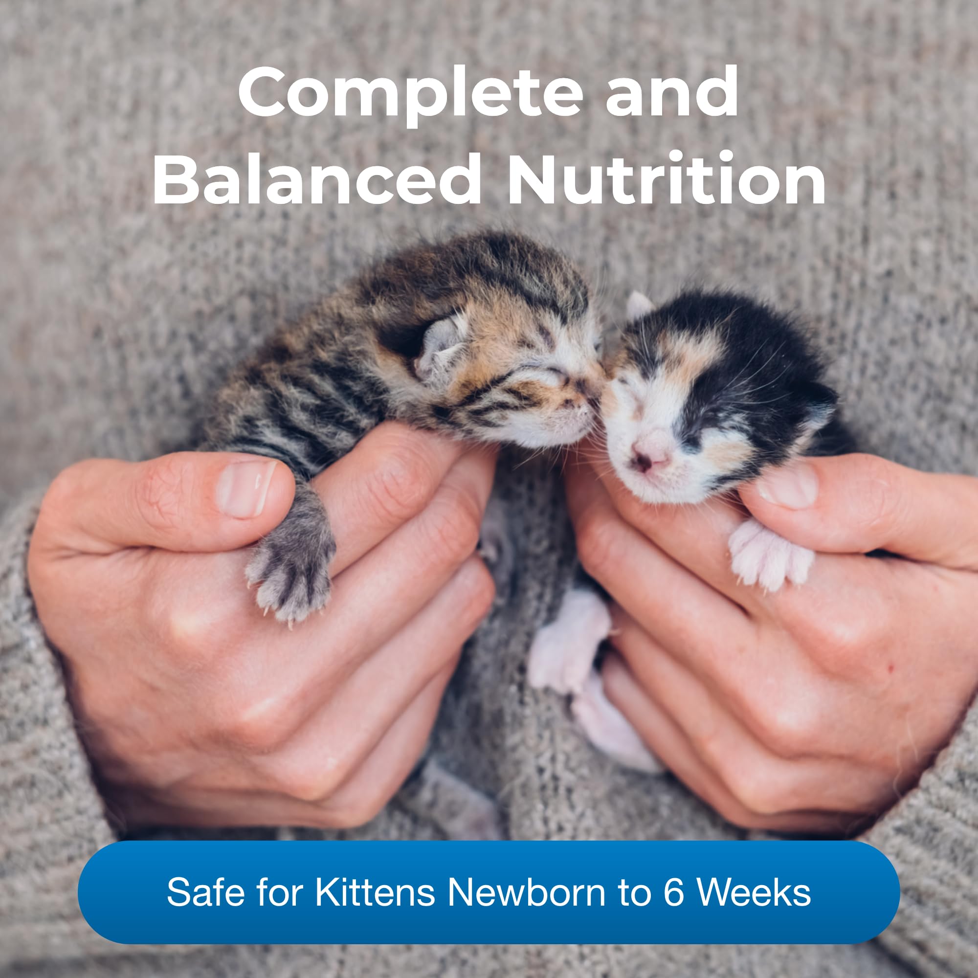 Pet-Ag KMR Kitten Milk Replacer Liquid - 11 oz - Ready-to-Feed Kitten Formula with Vitamins for Kittens Newborn to Six Weeks Old - Easy to Digest