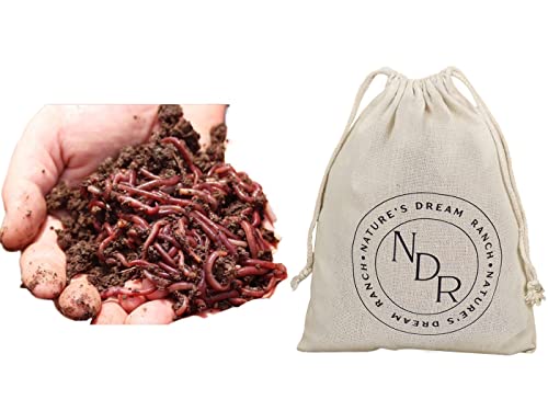 Nature's Dream Ranch 500 Count Live Red Wiggler Composting Worms Vermicomposting Garden Red Wrigglers, Pet Feed, Kid Experiment