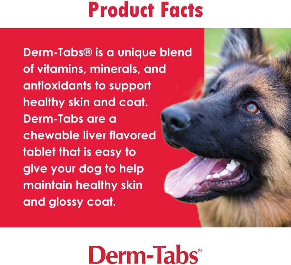 Pet Health Solutions Derm Tabs Extra Strength for Dogs - Natural Oil, Vitamins, Minerals, and Antioxidants - Support Healthy Skin and Reduce Shedding - 360 Chewable Tablets