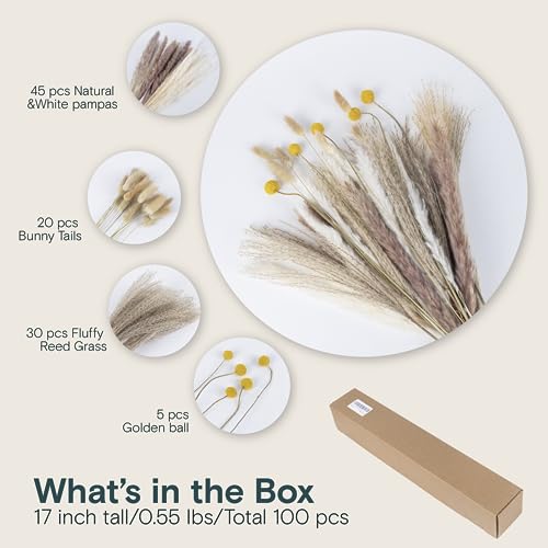 Luxclub Dried Pampas Grass Decor, 100 PCS 17 Inch Pampas Grass, Fluffy Bunny Tails Dried Flowers, Reed Grass Bouquet, Natural White Pompas for Wedding, Floor Vase Boho Flowers Home Decor Decorations