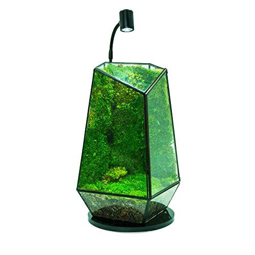 HIRO AQUATICS Mini Terrarium Aquarium Black Spotlight for Potted Plants, Betta Fishes, Bottle Jars, Displays, Indoor Plant, Succulents, Air Plants