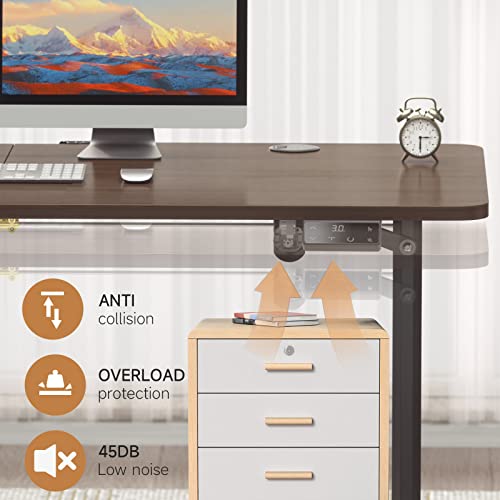 Dripex Adjustable Electric Standing Desk, 55 inch, Grey Brown