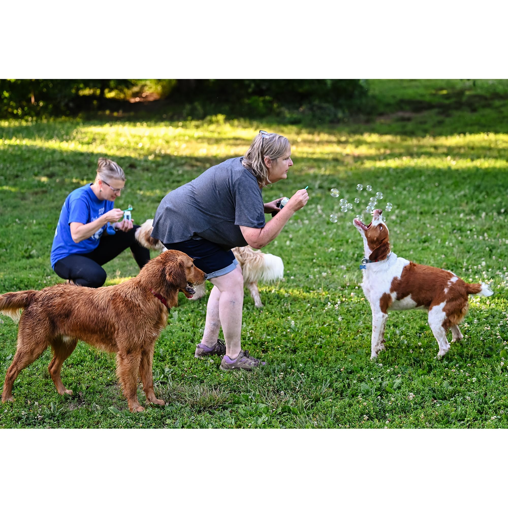 Puppy Love Bubbles, Bacon Scented Bubbles 4oz. Bottle-2 Pack in Bacon Flavor for Dogs