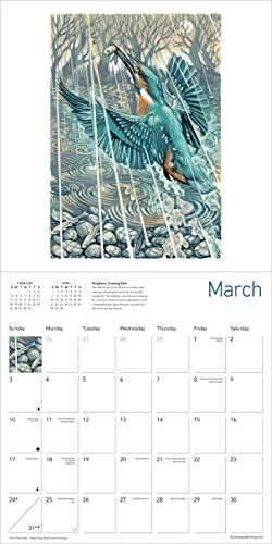 Martin Truefitt-Baker Wall Calendar 2024 (Art Calendar)
