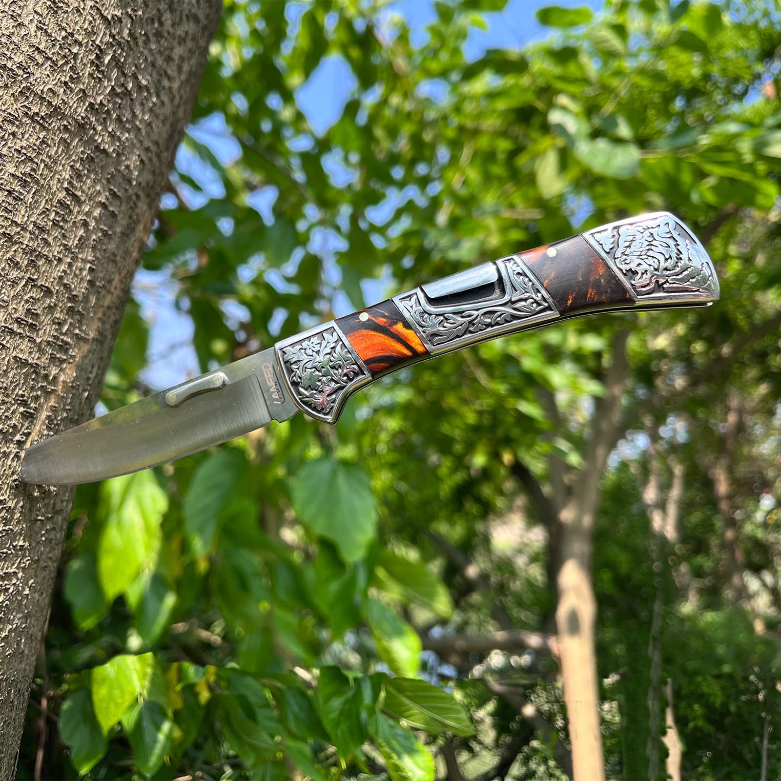 LANFED Pocket knife for Men, 3.5 inch Folding Knife with Back Lock, Engraved Unique Resin Handle, Cool Knives for Fishing, Hunting, Camping Gifts for Men