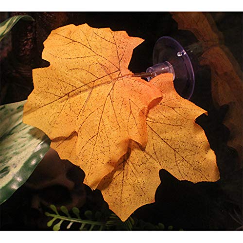 Mllepjdh Betta Fish Hammock Plastics Betta Leaf Pad Aquarium Plant Leaves Accessories for Playing Fish Tanks Hideout Decoration Pet Rainbow Ball Foam Pets Dog Training Training Ball Dog Treat