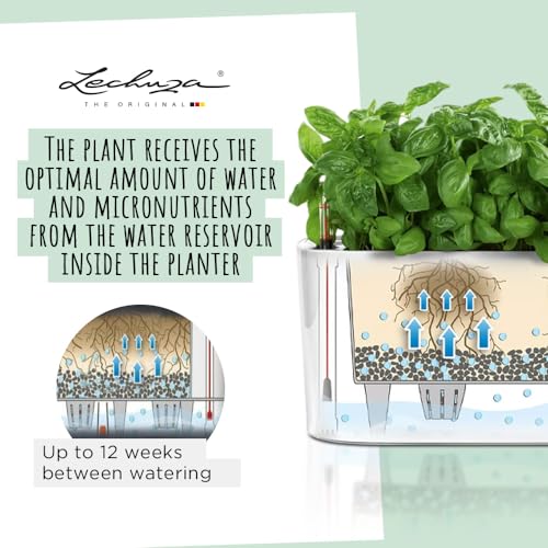 Lechuza 15460 Delta 10 Indoor and Outdoor Use, 12" x 4" x 5", Self Watering Planter, 30cm, White High Gloss