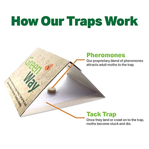 Greenway Food Moth Traps (6 Traps) - Pantry Moth Trap - Alternative to Naphthalene Balls and Moth Balls - Pheromone Attractant