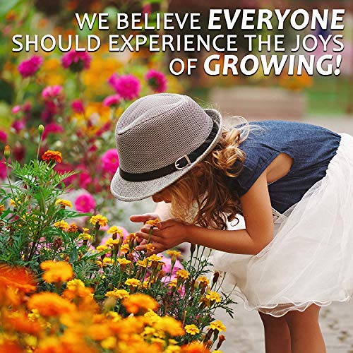 Lemon Grass Seeds for Planting Outdoor - 250 Mg Packet - Non-GMO, Heirloom Culinary Herb Garden Lemongrass Seeds - Cymbopogon citratus
