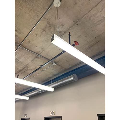 WareLight 4' Linear Suspended LED Beam, 40W, CCT Selectable, 0-10V Dimmable, 120-277V, Transparent Frosted Housing, Power Feed Cable Included