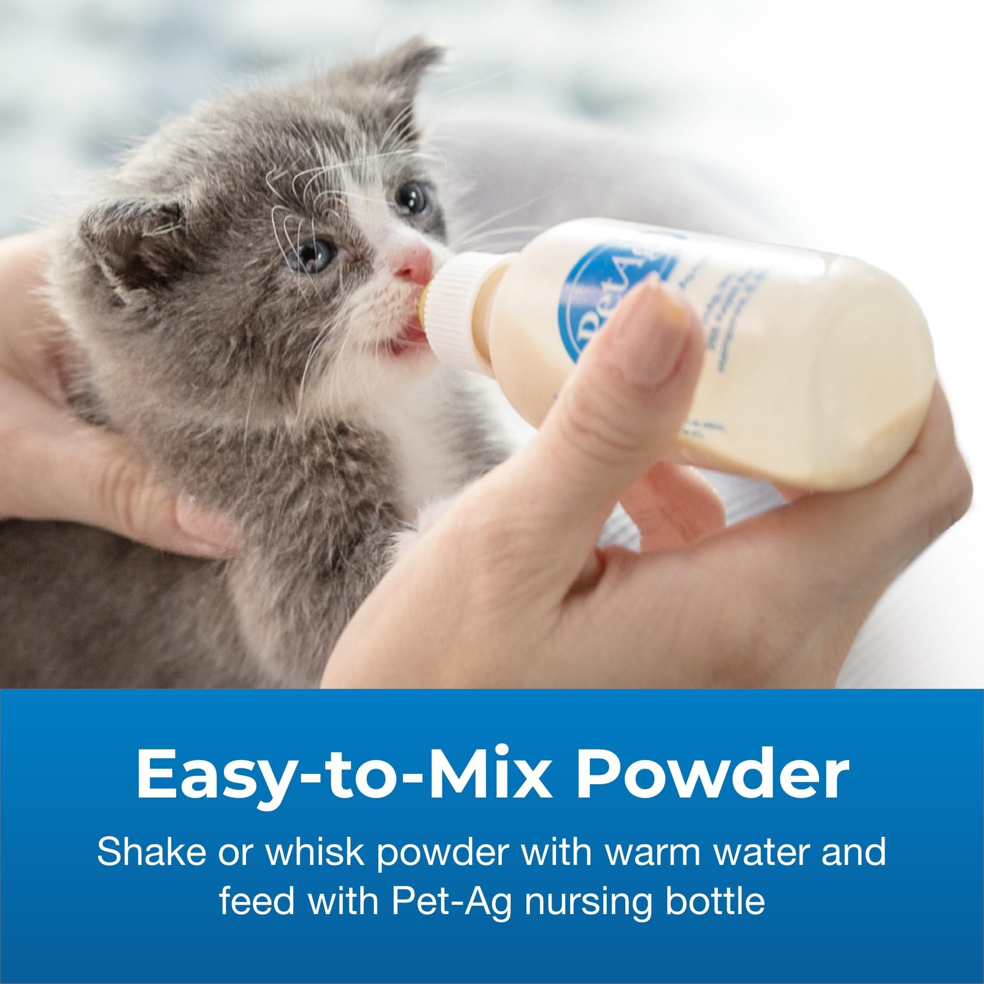 Pet-Ag KMR Kitten Milk Replacer Powder - 12 oz, Pack of 3 - Powdered Kitten Formula with Prebiotics, Probiotics & Vitamins for Kittens Newborn to Six Weeks Old - Easy to Digest