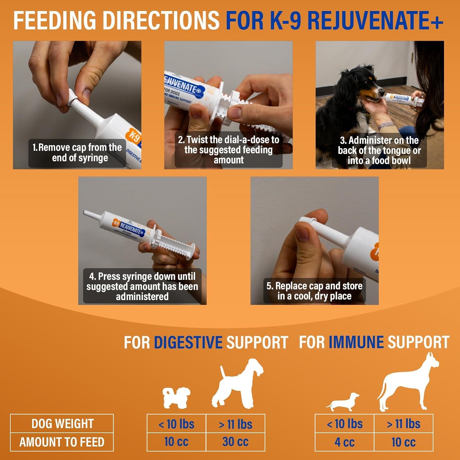 K9 Rejuvenate+ Canine Oral Paste (60g Oral Syringe, Pack of 2) Digestive and Immune Support for Dogs - Dog Supplements for Digestion