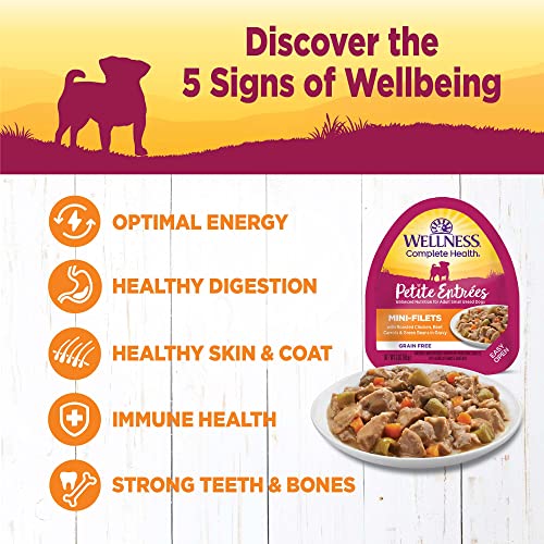 Wellness Petite Entrees Mini Fillets Natural Wet Small Breed Dog Food, Roasted Chicken, Beef, Carrots & Green Beans, 3-Ounce Cup (Pack of 24)
