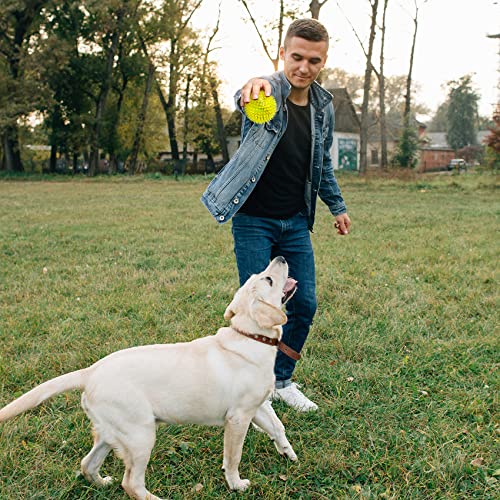 VITEVER 3.5” Squeaky Dog Toy Balls (6 Colors) Puppy Chew Toys for Teething, BPA Free Non-Toxic, Spikey Dog Balls for Medium, Large & Small Dogs, Durable Dog Toys for Aggressive Chewers