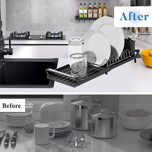 Joemdehazam Dish Drying Rack,Compact Dish Rack Durable, Stainless Steel Kitchen Drying Rack with a Cutlery Holder, Drying Rack for Dishes,Spoons, and Forks (Black)