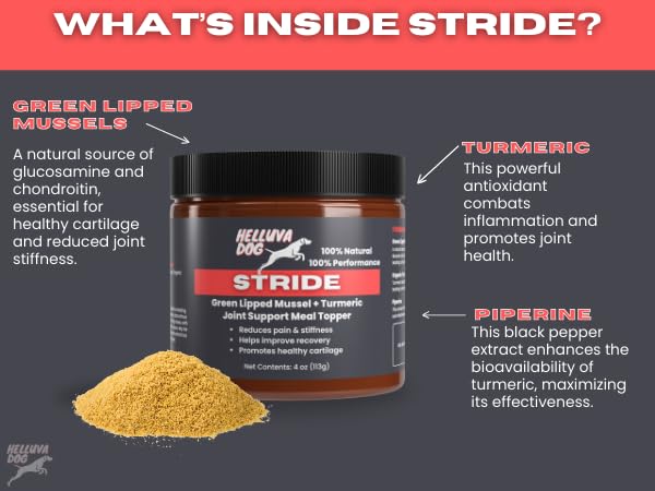 Homescape World Stride by Helluva Dog — Joint Support Meal Topper for Active Sporting Dogs — Green Lipped Mussel & Turmeric Powder for Mobility & Recovery 4oz