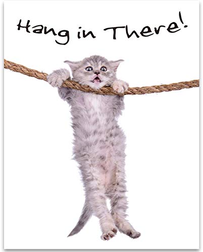 Hang in There - Motivational Quote Encouragement Poster, Inspirational Art Animal Print for Home Decor Office Decor, Cute Gift Idea for Cat Lovers, 11x14 Unframed Art Print Poster