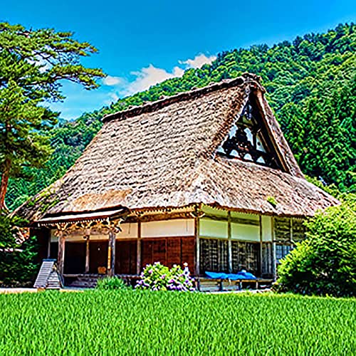 Pealihuy Mexican Straw Roof Thatch Roof Decoration Palm Thatch for Tiki Bar Hut, Patio, Party, Thatch Roofing Decorations,1 PCS