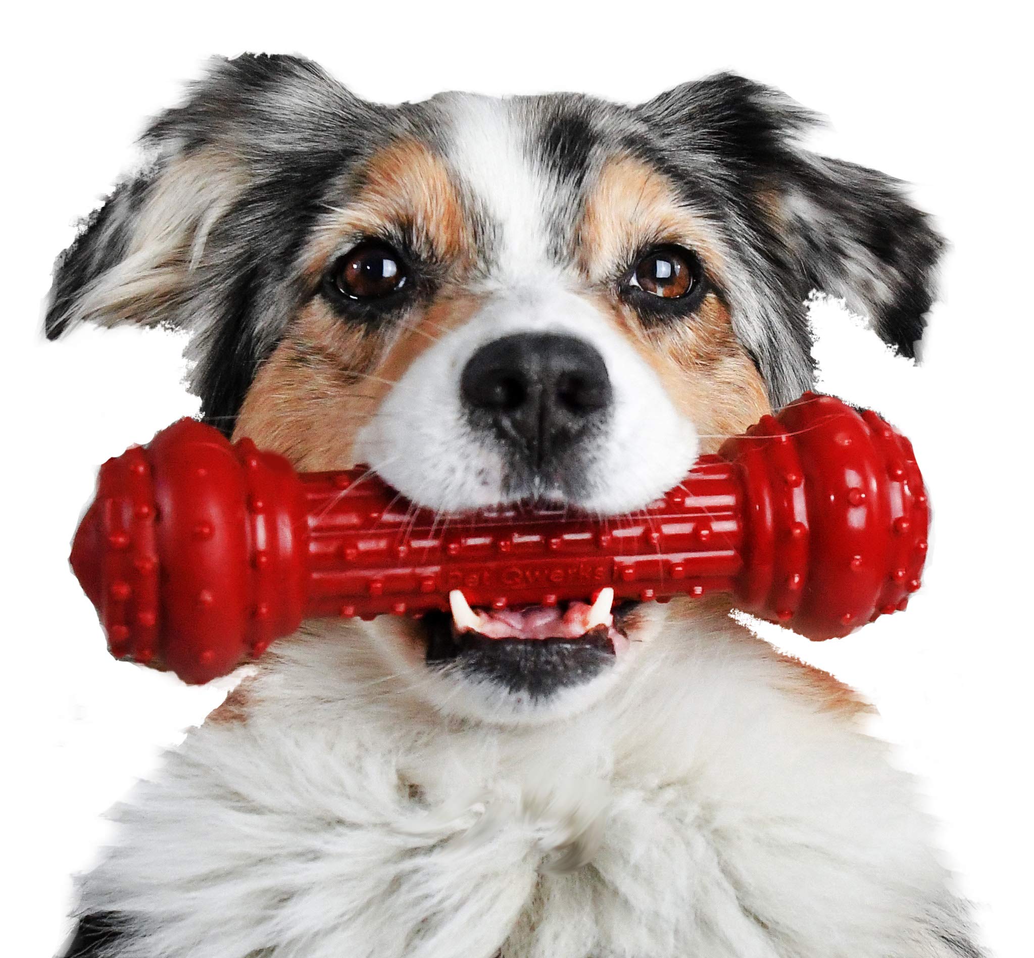 Pet Qwerks Bongo BarkBone - Nylon Dog Bone for Aggressive Chewers - Prime Rib Flavor - Large