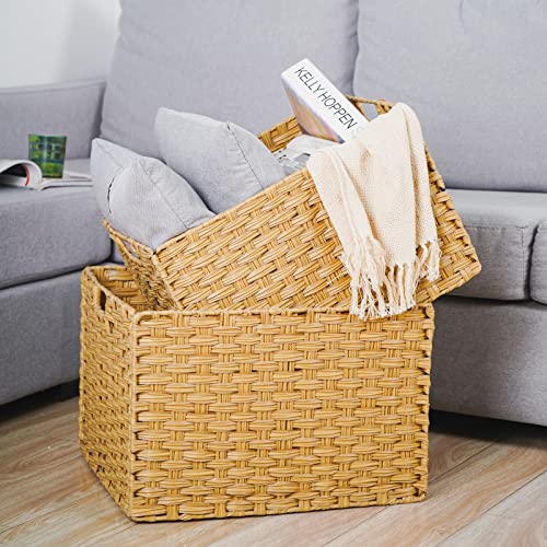 Wicker Baskets with Carrying Handles Foldable Handwoven Cube Storage Basket Bin Rectangular Open Storage Bins,Set of 2