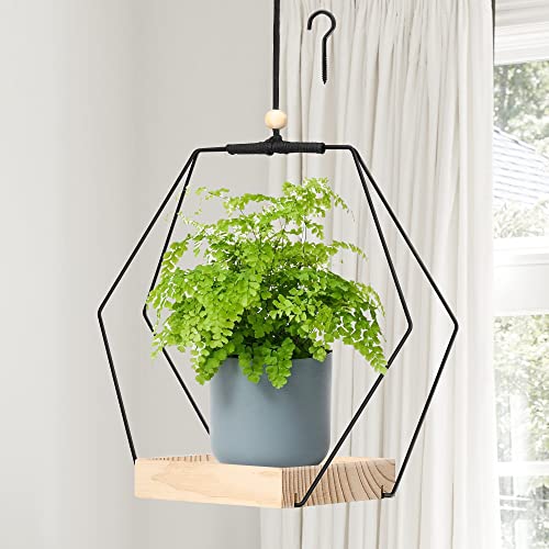 Kitypartsy Plant Hanger with Wood Base - Hanging Plant Holder, Hanging Planter/Pot for Indoor Plants Boho Macrame for Wall/Window/Room Decor, Black - Hexagon (Planter/Plants Not Included)