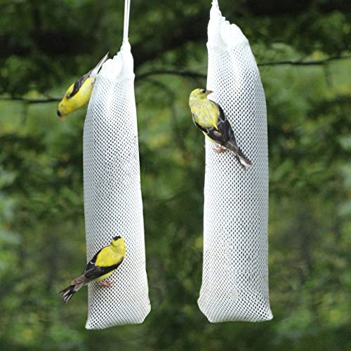 Happy Wings Nyjer/Thistle Seeds Wild Bird Food - (Pack of 2, 13 Ounce x 2) | Prefilled Sock | No Grow Seed | Bird Seeds for Wild Birds